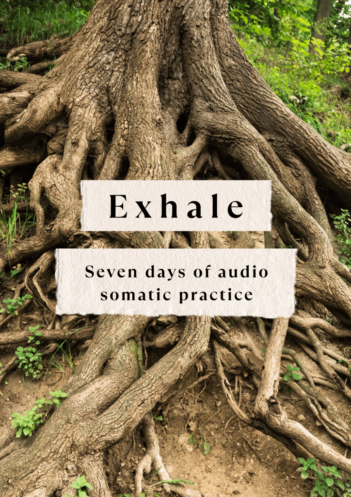 Exhale - Seven days of somatic relief - Liberated Learning