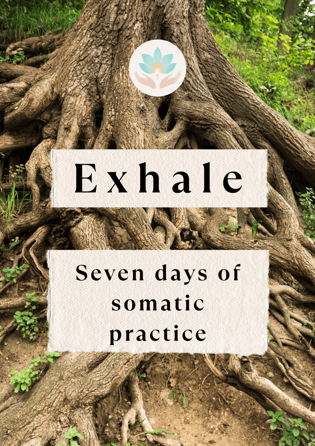 Exhale - Seven days of somatic relief - Liberated Learning